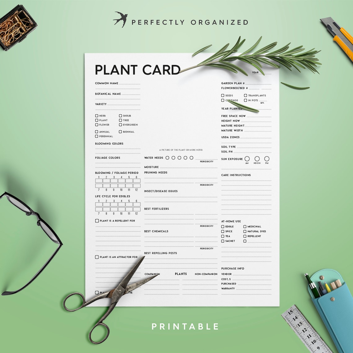 Plant Card editable PDF Plant Identification Card Plants | Etsy