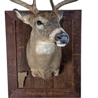 Handmade Taxidermy Backpack Mount Frame, Back Pack Mount, Pack Mount ...