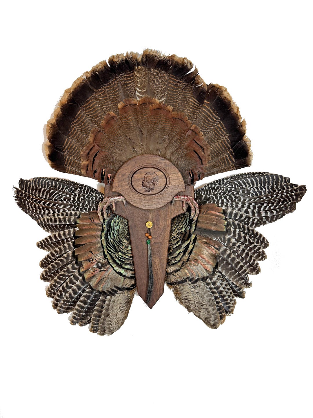 Personalized Turkey Tail Display for Beard, Spurs, Wings, Shotgun Shell ...