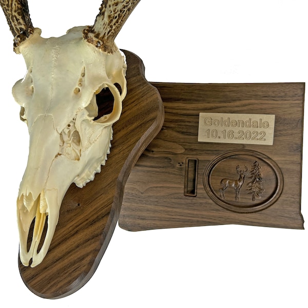 European Mount - Etsy