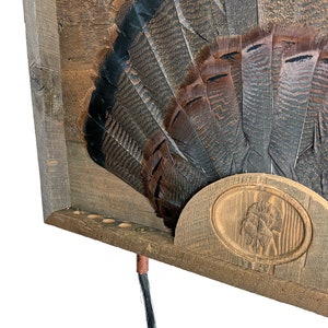 Barnwood or Walnut Shadowbox Turkey Fan Display for Tail, Beards, and ...