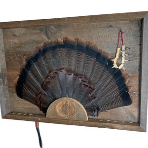 Barnwood or Walnut Shadowbox Turkey Fan Display for Tail, Beards, and ...