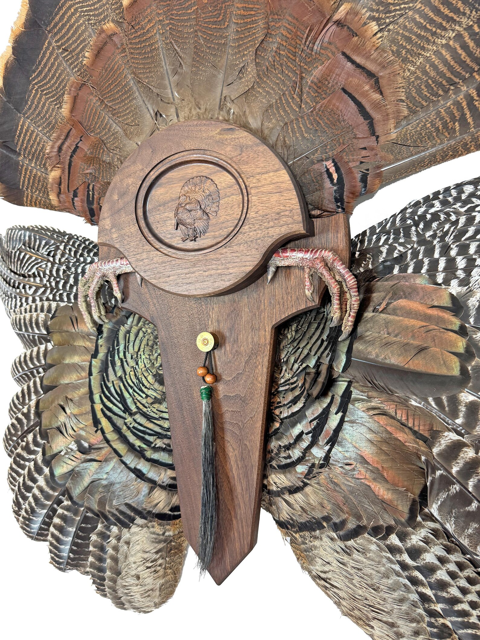 Personalized Turkey Tail Display for Beard, Spurs, Wings, Shotgun Shell ...