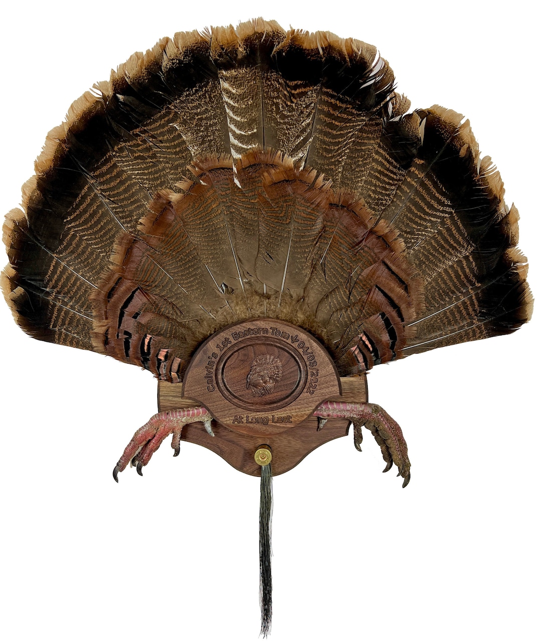 Personalized Turkey Tail Display for Fan, Beard & Spurs Mount, Walnut ...
