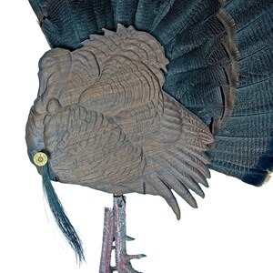 Walnut Turkey Bust Display for Tail, Beard, Spurs, Shotgun Shell, & Fan ...