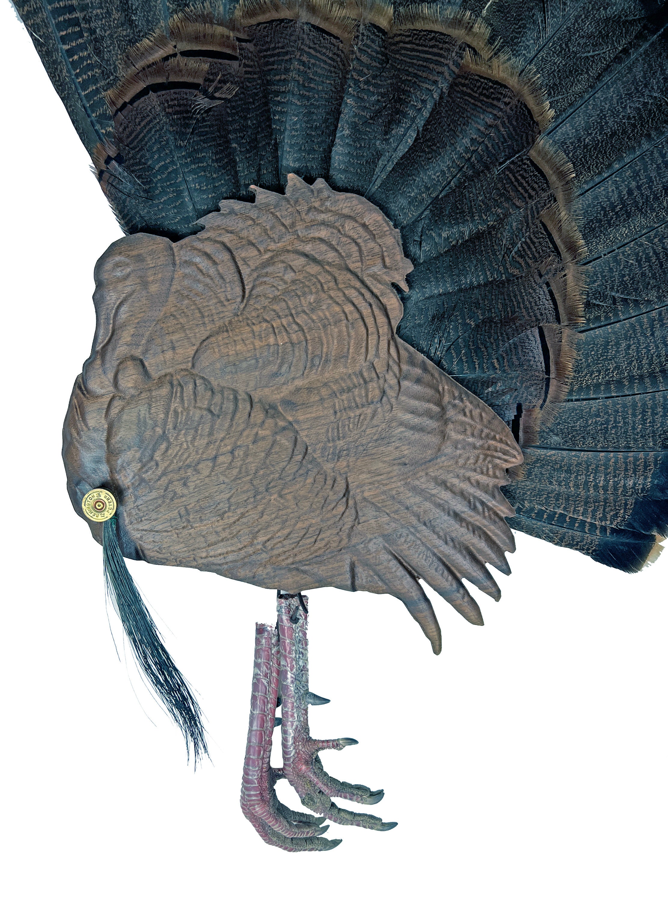 Walnut Turkey Bust Display for Tail, Beard, Spurs, Shotgun Shell, & Fan ...