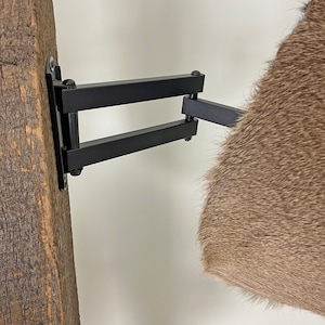 Barnwood Deer Trophy Tree: Pedestal Shoulder Mount Display - Etsy