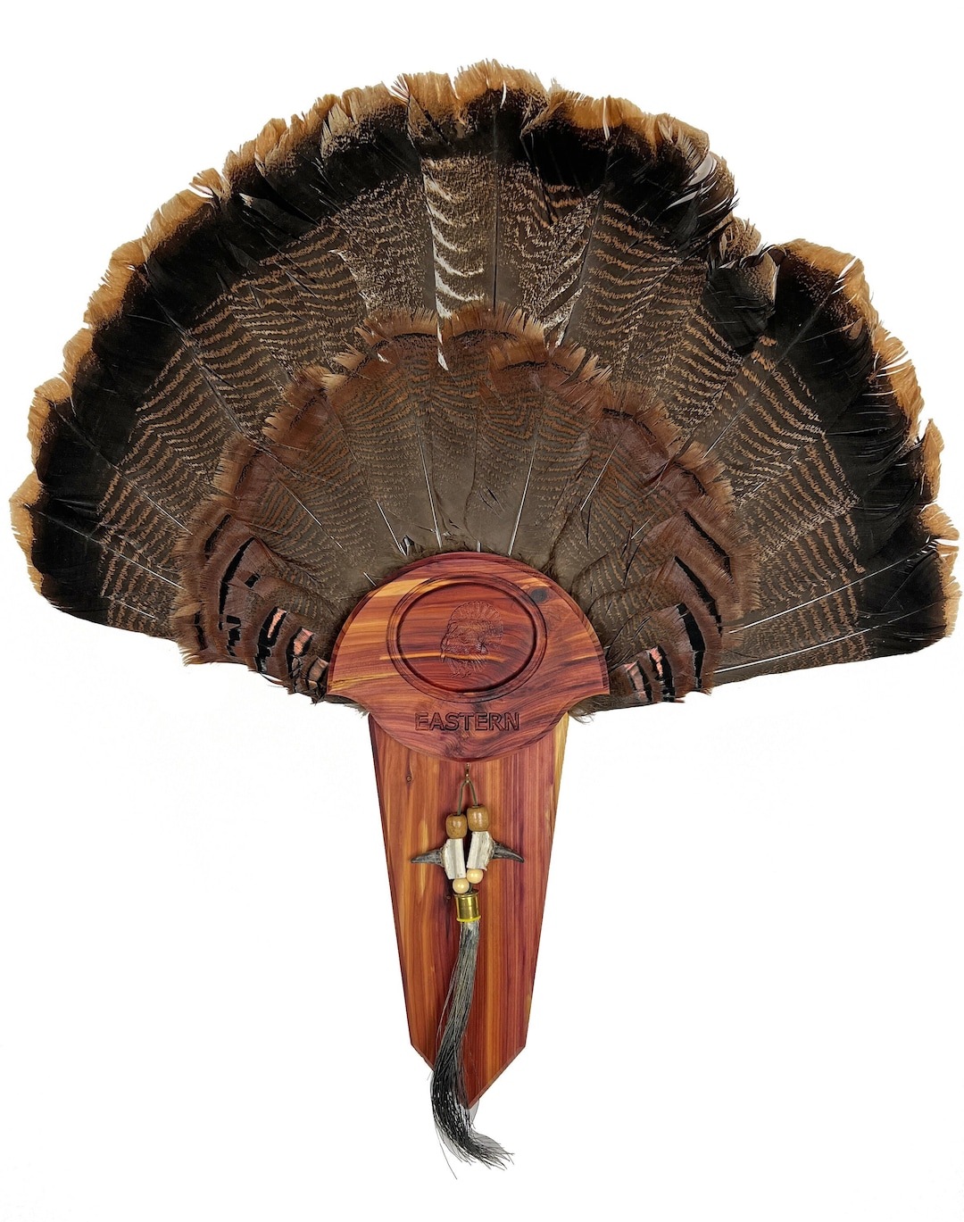 Cedar Carved Turkey Tail Mounting Kit W/ Beard and Spur Display ...