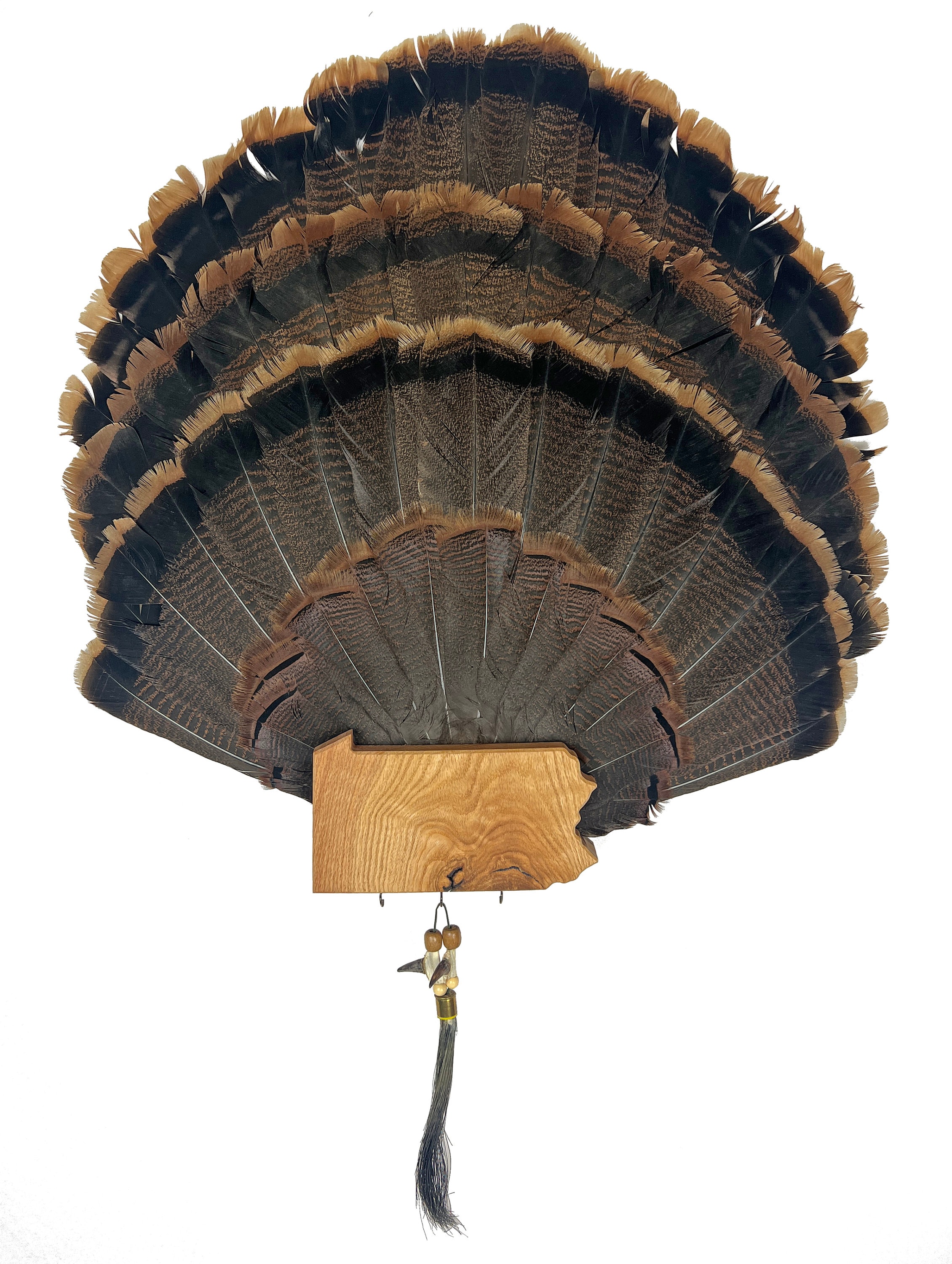 Custom State Outline Turkey Tail Mounting Kit: Beard & Spur Display - Etsy