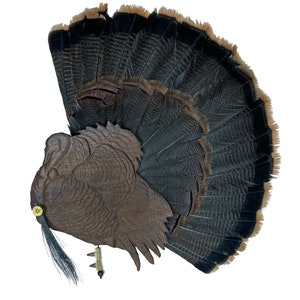 Walnut Turkey Bust Display for Tail, Beard, Spurs, Shotgun Shell, & Fan ...