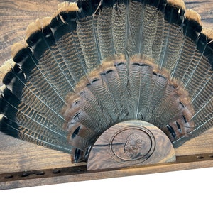 Barnwood or Walnut Shadowbox Turkey Fan Display for Tail, Beards, and ...