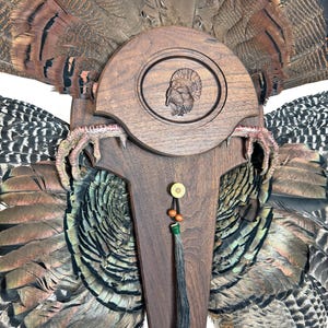 Personalized Turkey Tail Display for Beard, Spurs, Wings, Shotgun Shell ...
