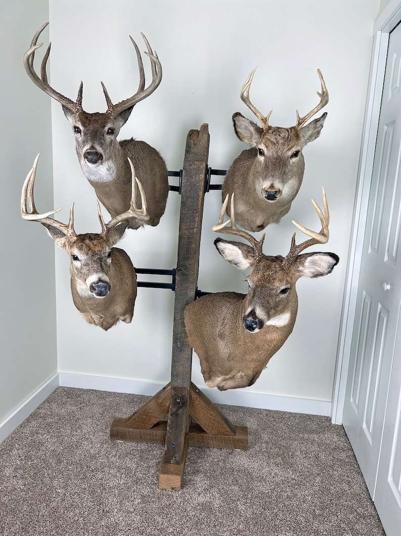 Barnwood Deer Trophy Tree: Pedestal Shoulder Mount Display - Etsy