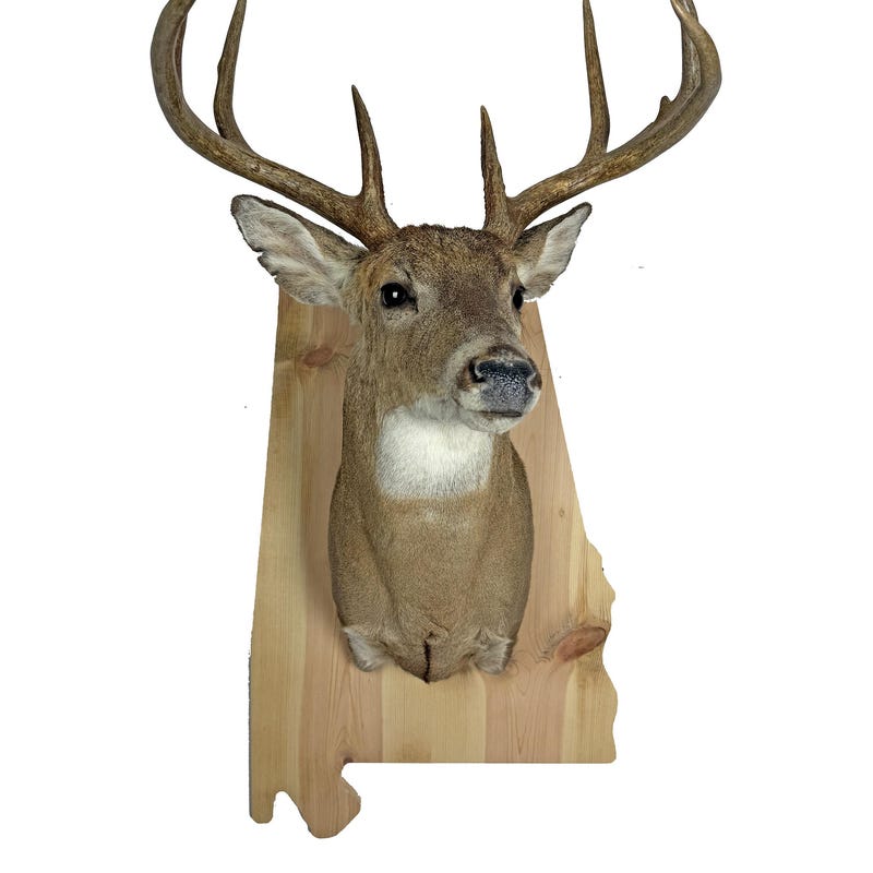 Mounts for Wood Panels - Etsy