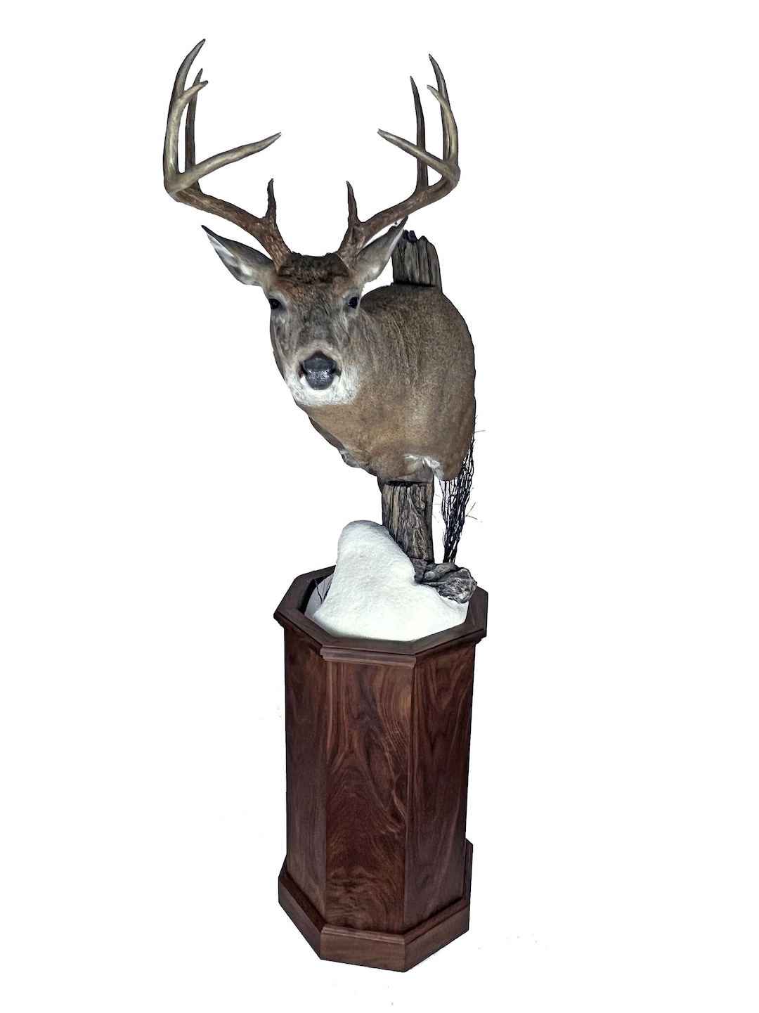 Custom Octagon Taxidermy Deer or Turkey Barnwood or Walnut Pedestals ...