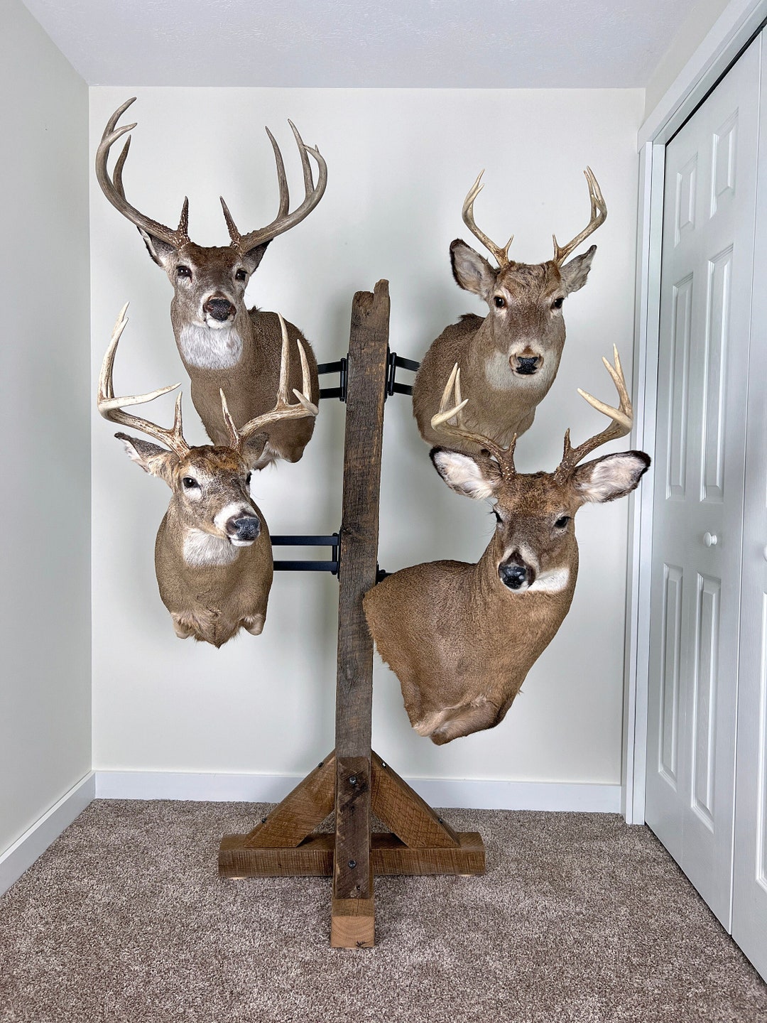 Pedestal Post Shoulder Mount Deer Trophy Tree for Up-to 4 Whitetail ...