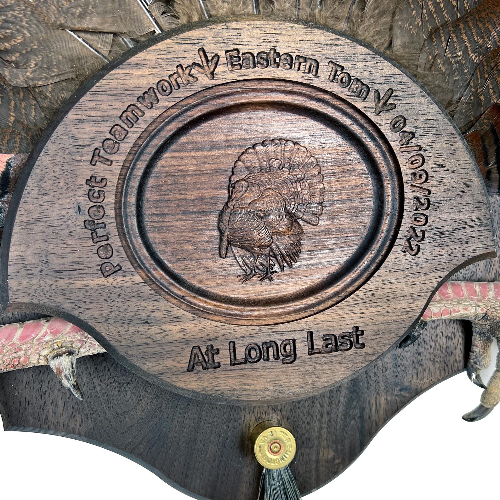 Personalized Turkey Tail Display for Beard, Spurs, Wings, Shotgun Shell ...