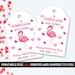Flamingo Valentine's Day Tag, Flamingo Valentine's Tag, Tickled Pink ...