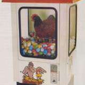 Fun Chicken Button or Magnet - Etsy