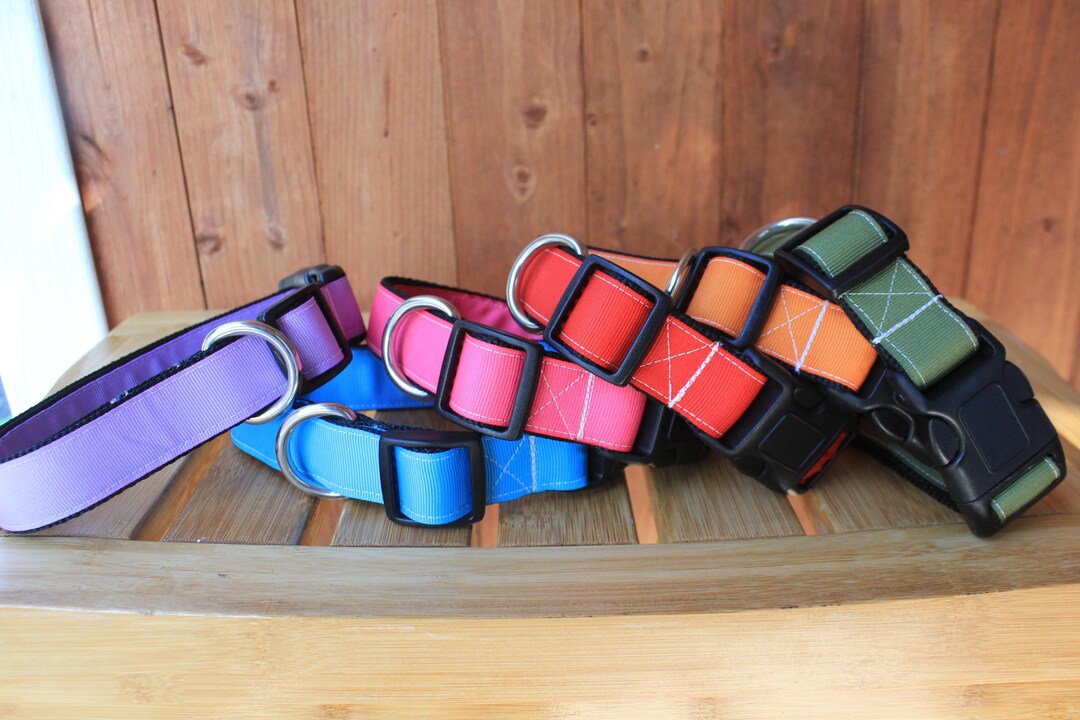Plastic Buckle Collars - Solid Colors - PERSONALIZED With Names - Etsy