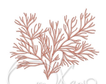 Fish and Coral Machine Embroidery Design - Etsy