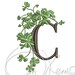 Machine Embroidery Design Capital Letter С Digitized Irish Alphabet St ...