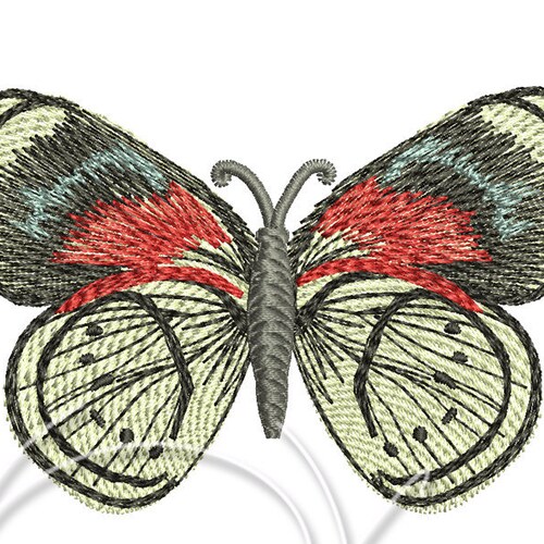 MACHINE EMBROIDERY DESIGN Butterfly Embroidery - Etsy