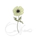 Machine Embroidery Design - Anemone Embroidery PES Instant Download 4x4 ...