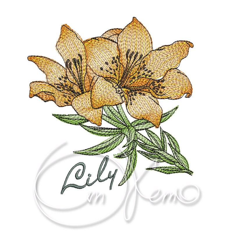 MACHINE EMBROIDERY DESIGN - Lily Flower Embroidery, Lily Embroidery - Etsy
