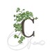 Machine Embroidery Design Capital Letter С Digitized Irish Alphabet St ...