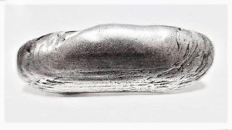 Clam Shell Cabinet Knob Antique Silver | Coastal Drawer Pull | Kitchen ...