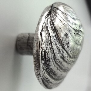 Clam Shell Cabinet Knob, Drawer Pull, Cabinet Handle, 1pc, Antique ...