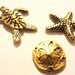 Sea Life Push Pins (15 Pc Set) | Decorative Gold Starfish Seashell ...