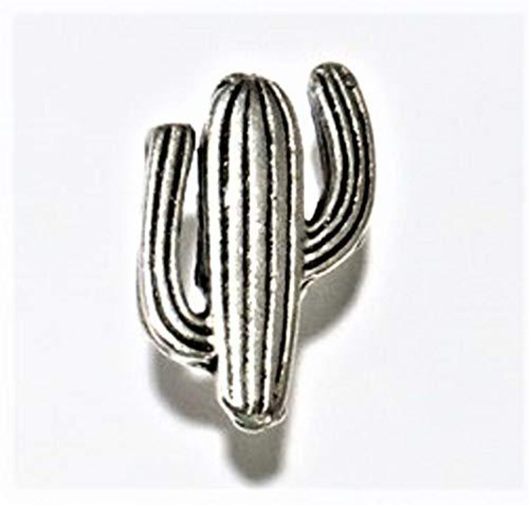 Cactus Push Pins (15 Pc Set) | Decorative Silver Desert Thumb Tacks ...
