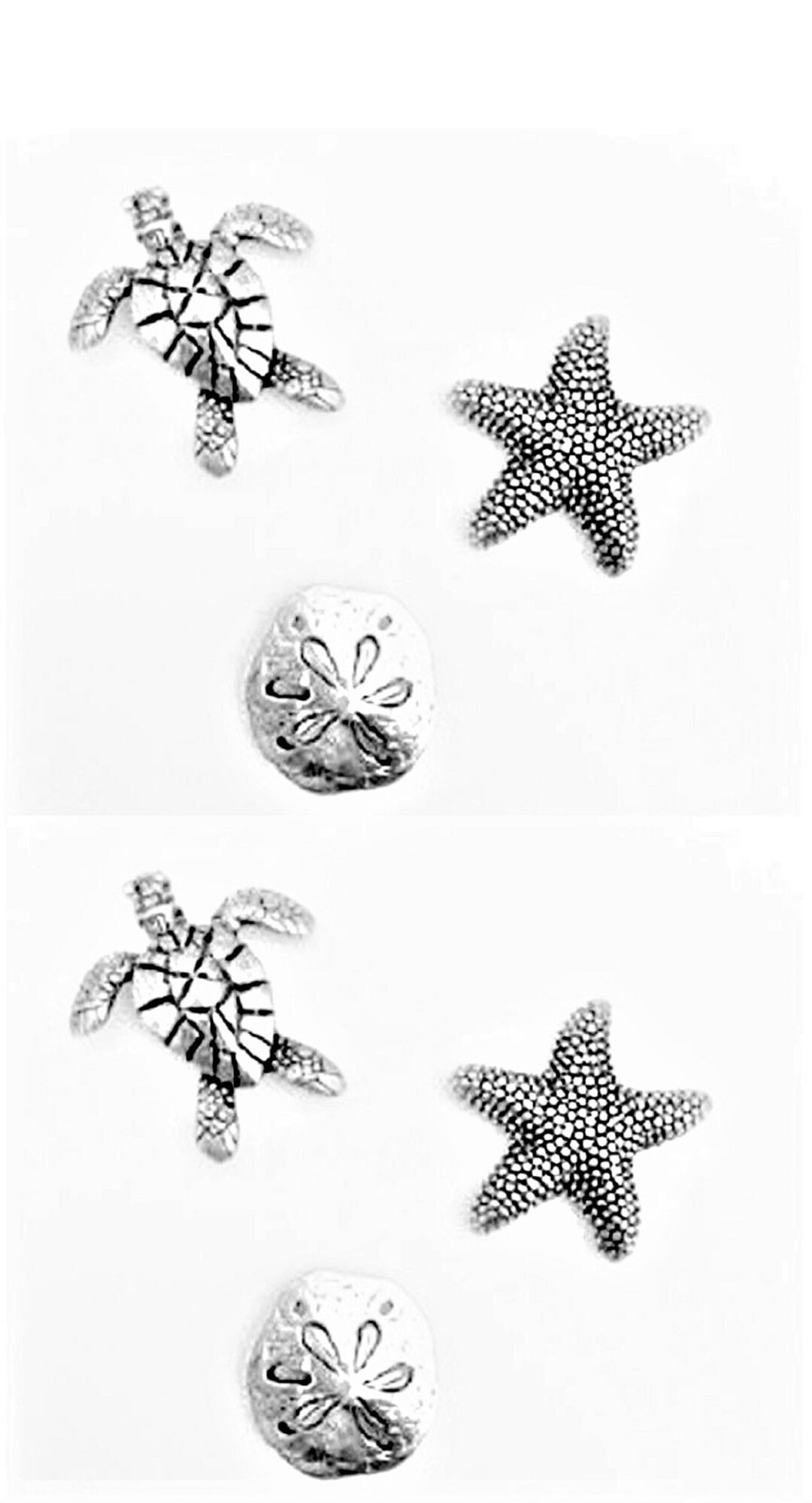 Sea Life Magnets, Turtle Magnets, Starfish Magnets, Sand Dollar Magnets ...