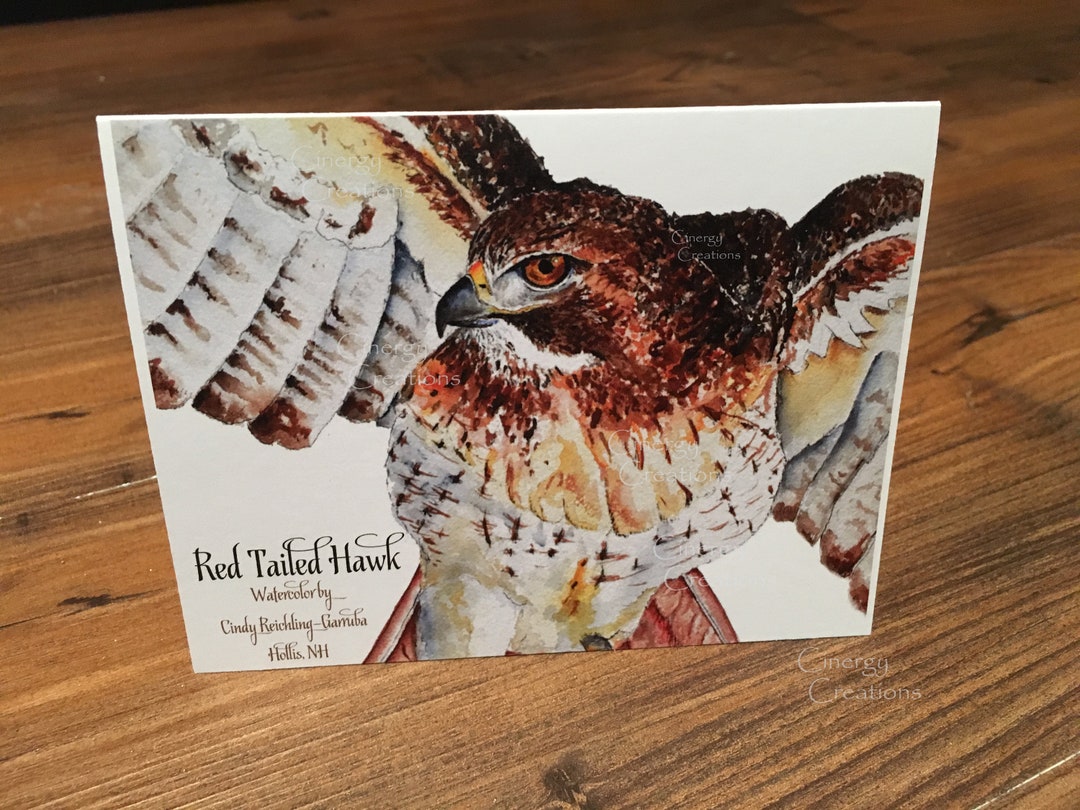 Red Tailed Hawk ~ Note Card ~ Blank Inside! Stationery ~ Thank You Note ...