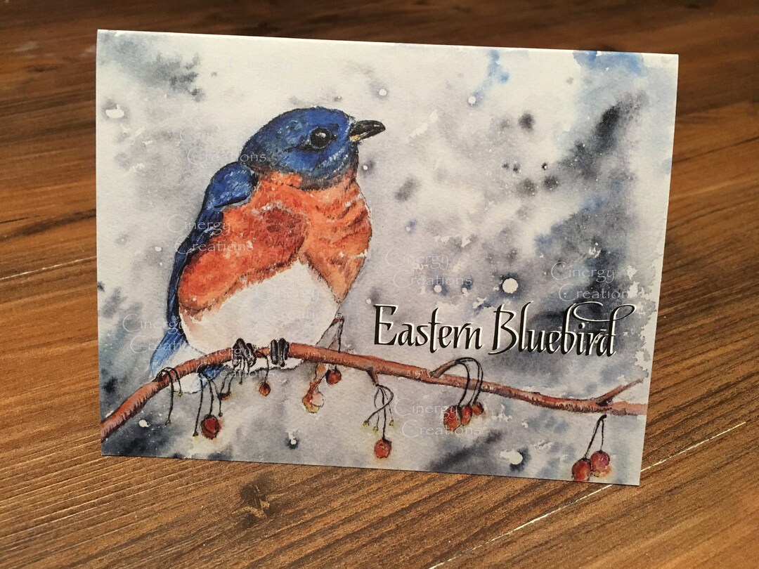 Eastern Bluebird Note Card: Watercolor Bird Art Stationery - Etsy