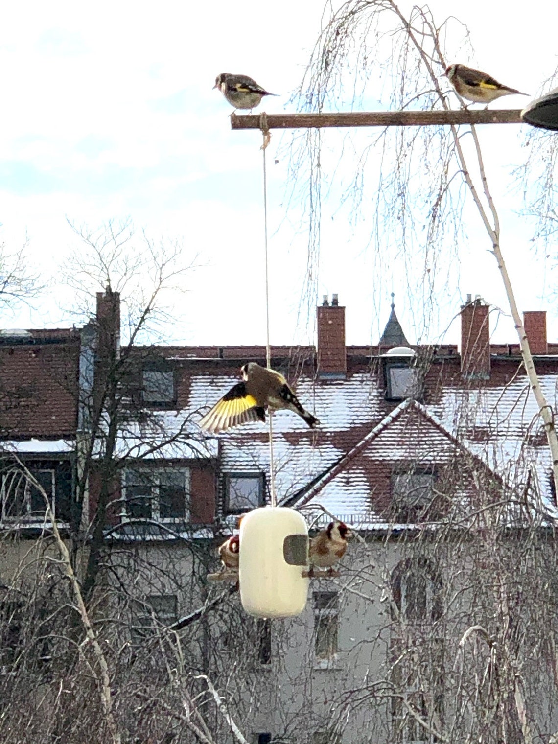 Birds Snack Bar // Bird Feeder of White Porcelain and Natural | Etsy