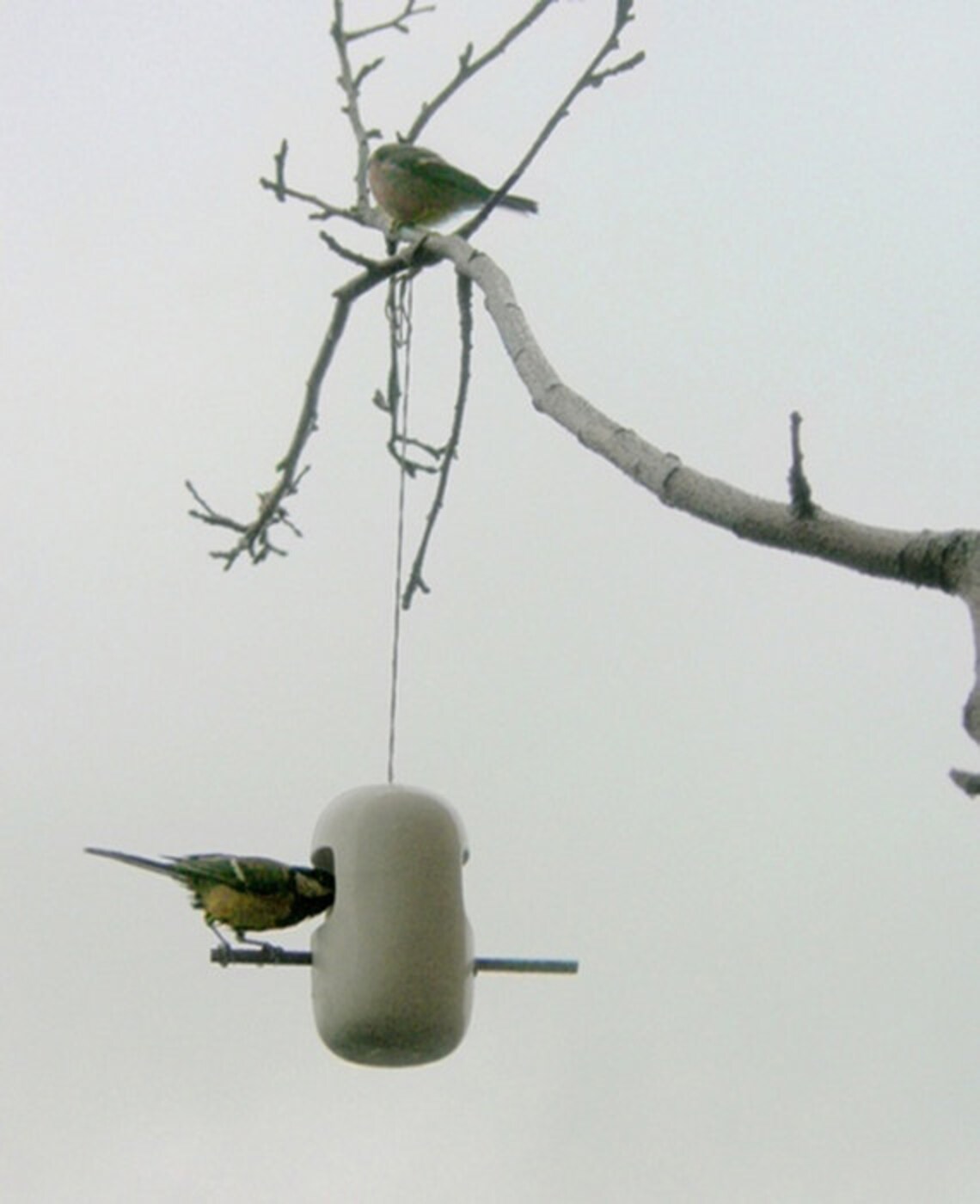 Birds Snack Bar // Bird Feeder of White Porcelain and Natural | Etsy