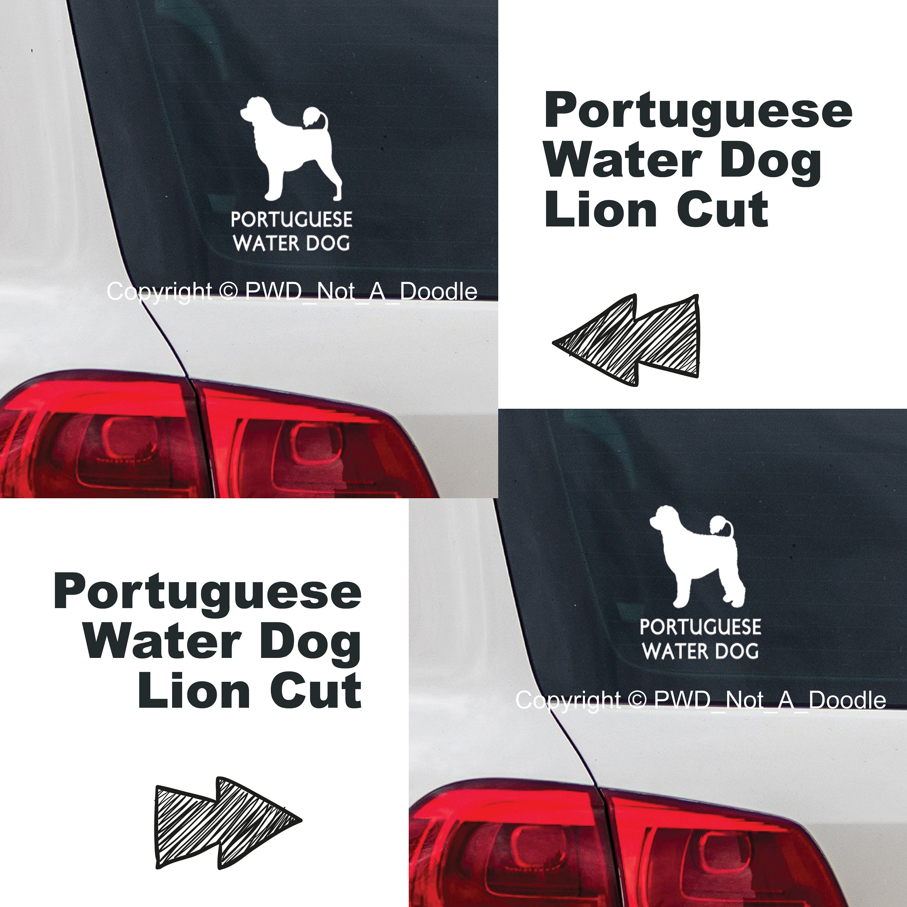Portuguese Water Dog, Vinyl Decal - Etsy