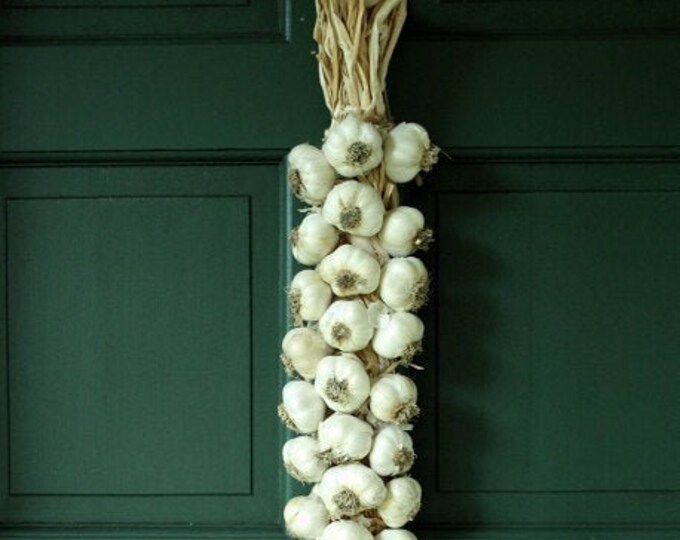 Farm Fresh Garlic Braid 12 Foot - Etsy