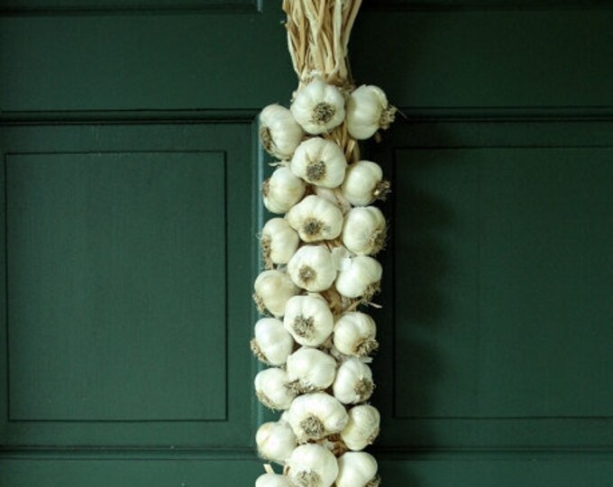 Farm Fresh Garlic Braid - 6 Foot - Etsy