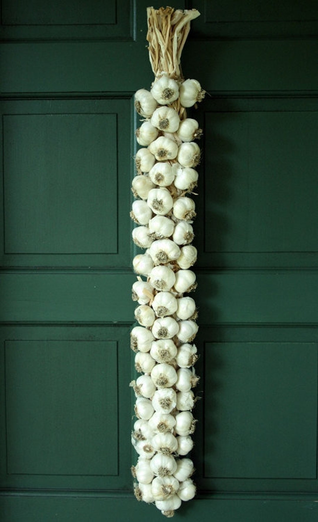 Farm Fresh Garlic Braid - 6 Foot - Etsy