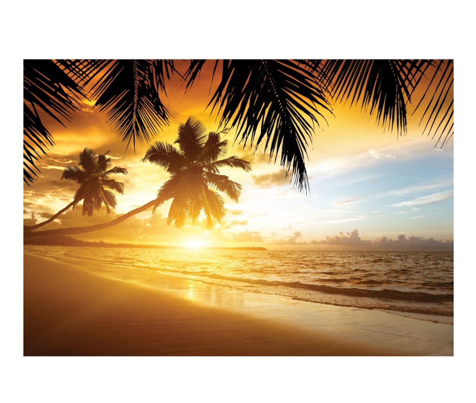 Beach Ocean Palm Trees Sunset Wall Decal Sticker Graphic - 4 Sizes ...