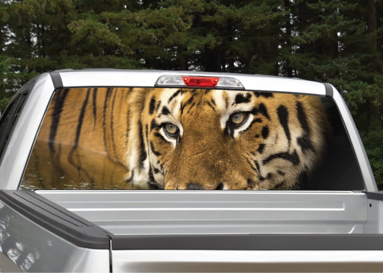 Tiger Eyes Rear Window Graphic Decal Truck SUV perforated - Etsy