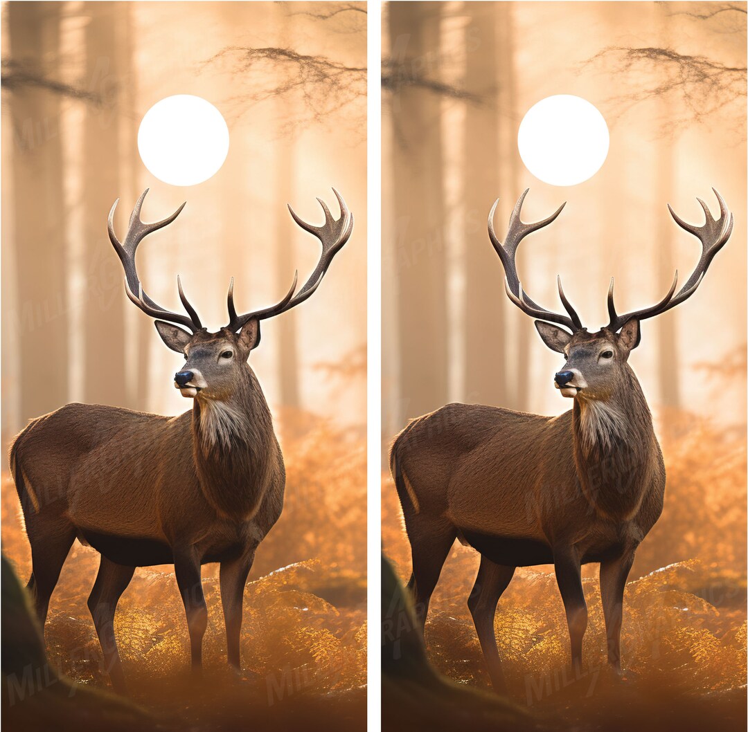 Whitetail Buck Deer V2 Forest Hunting Cornhole Wraps Decals - Etsy