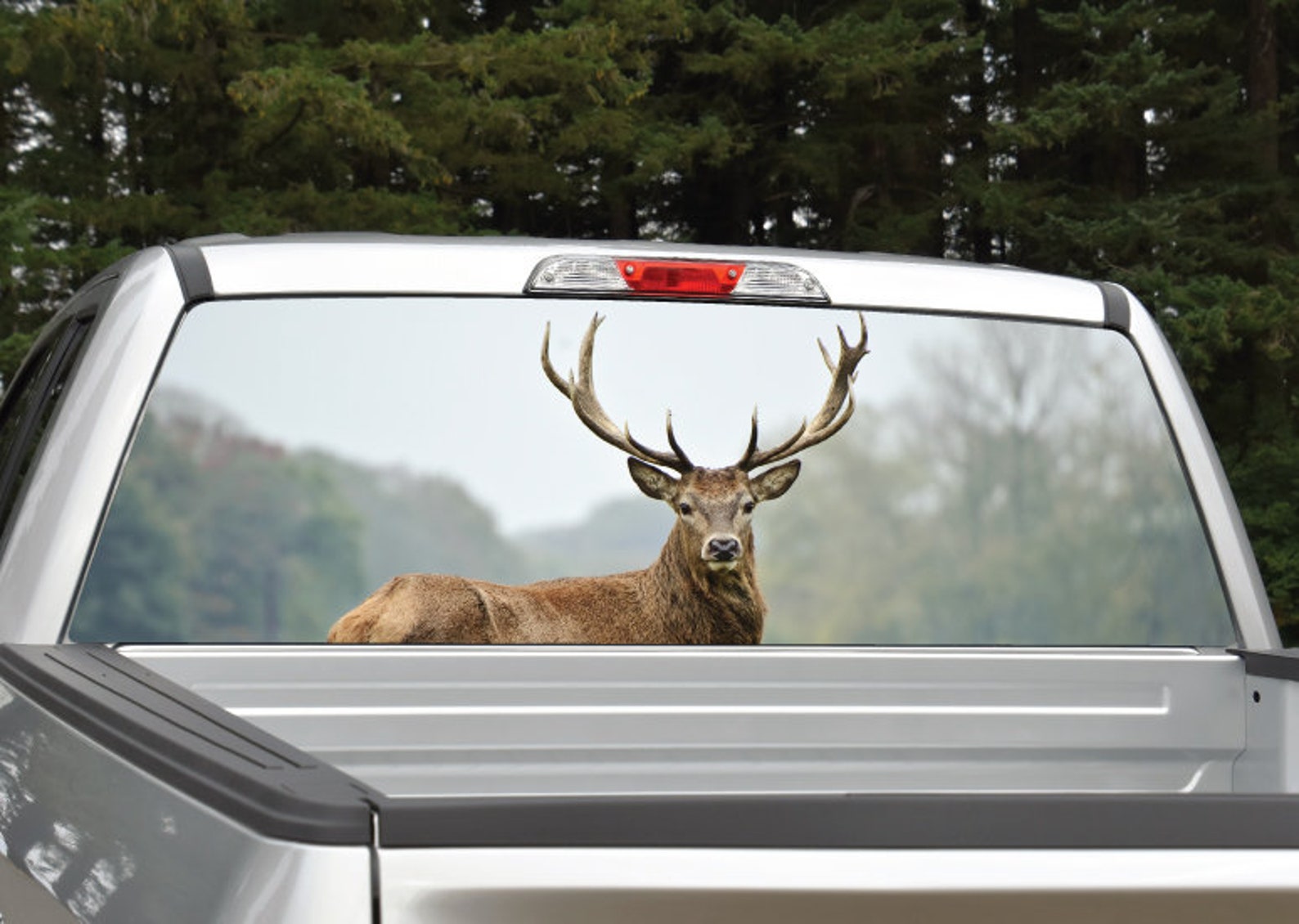 Elk Buck Deer Rear Window Graphic Decal perforated - Etsy