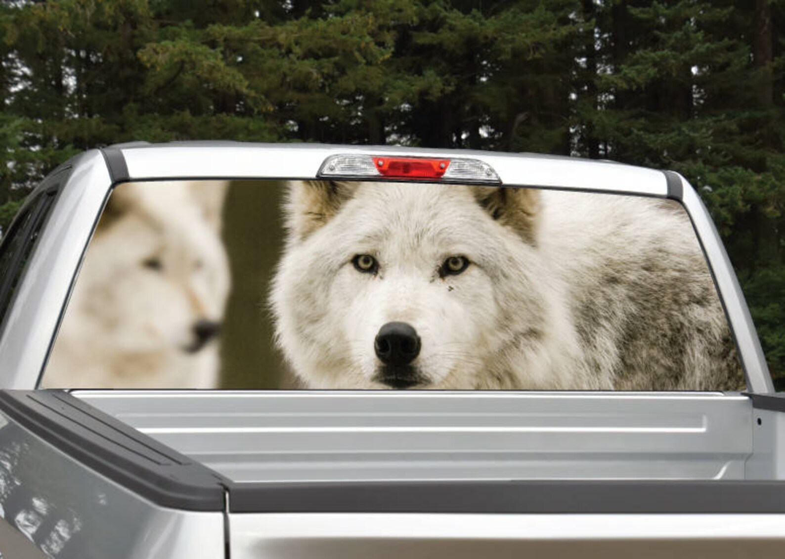 Wolf Wolves Rear Window Graphic Decal (perforated) - Etsy