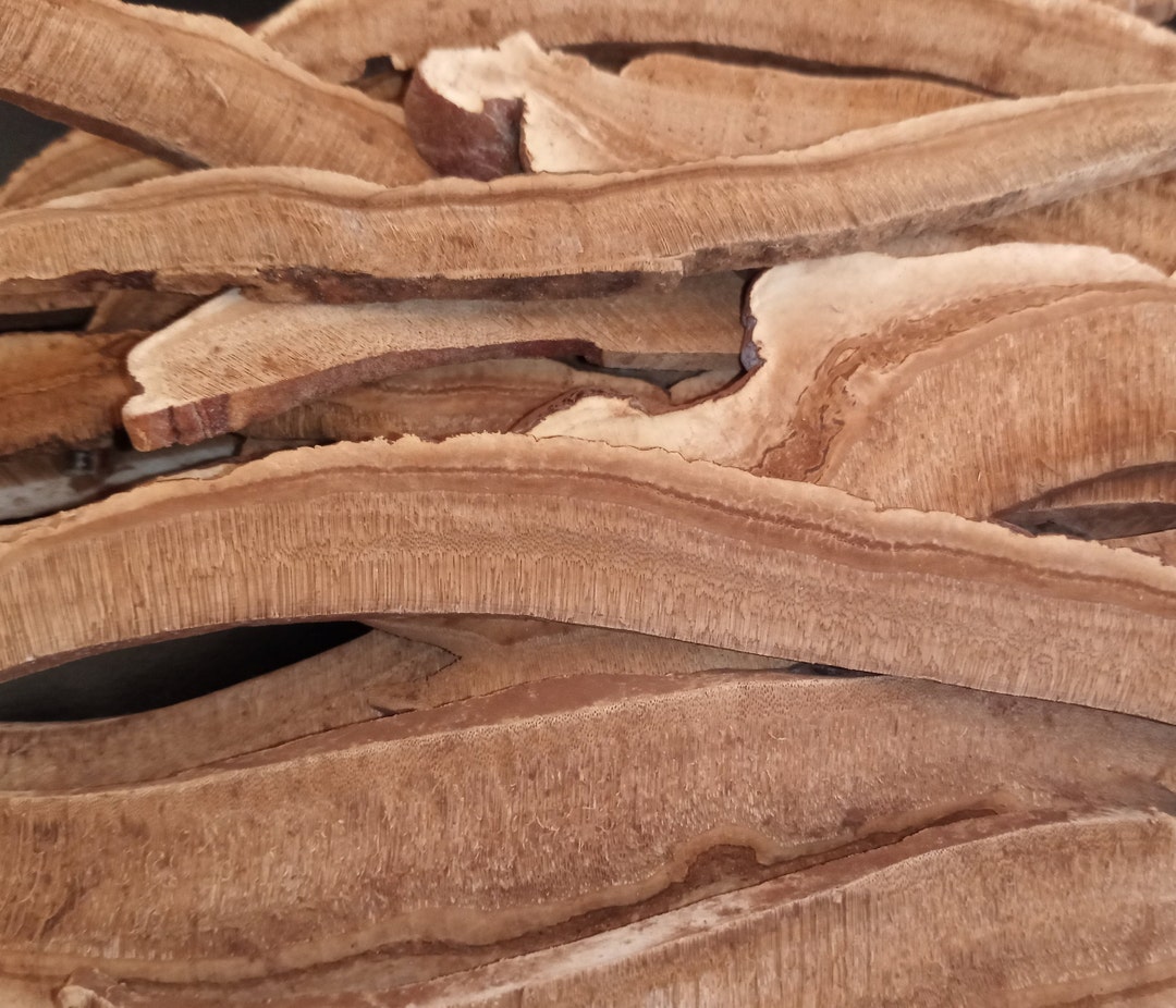 Platycodon Root >> Jie Geng > 40 GRAMS - Etsy