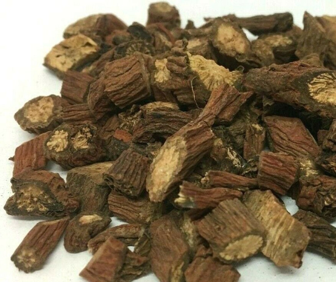 Red Sage Root Salvia Miltiorrhiza 60 GRAMS - Etsy